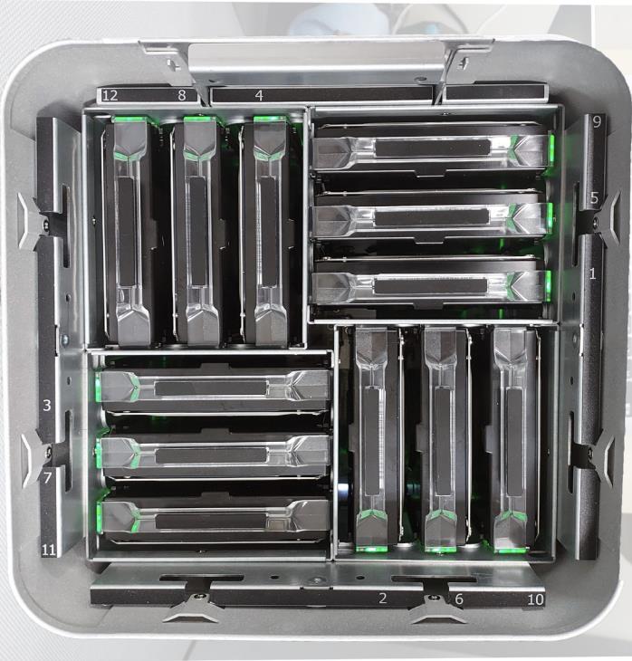 Drive numbering and LED indicators - Pegasus R12
